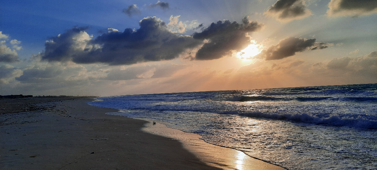 Egypt - North coast