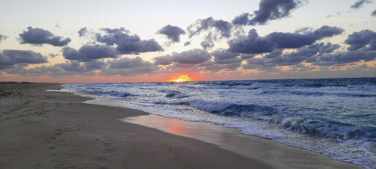 Egypt - North coast
