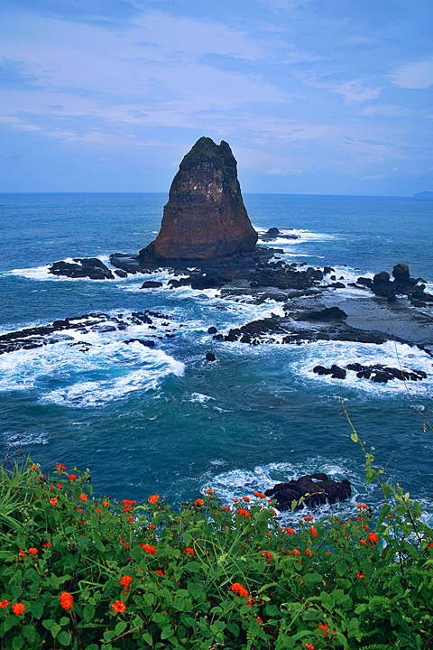 tanjung papuma jember