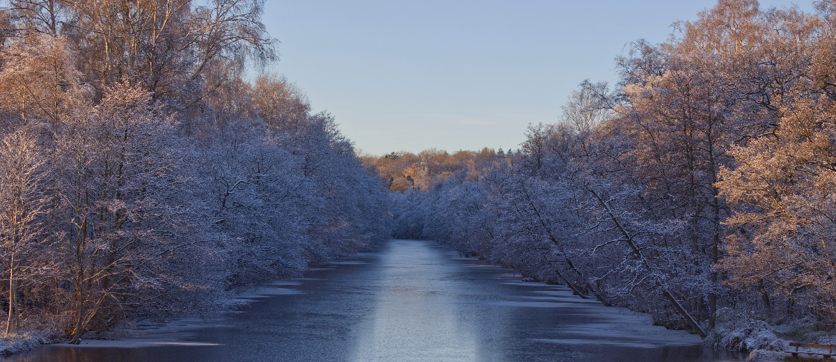 Vinter ved Lyngby - Danmark