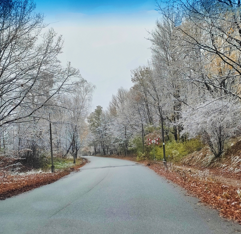 WHITE AUTUMN