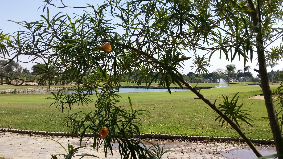 Egypt - Good morning