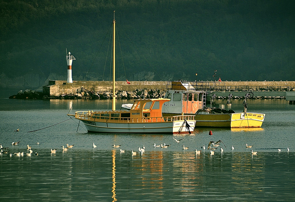 DENİZ