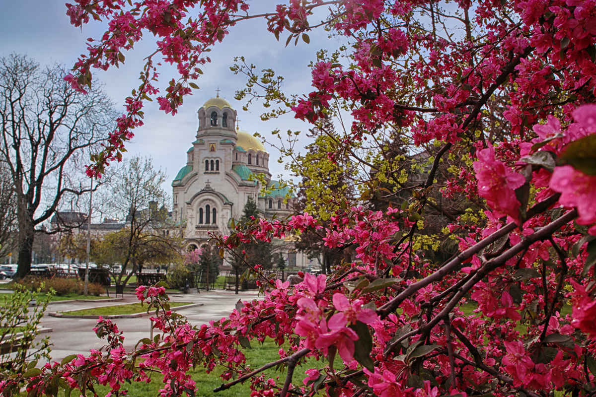 Colorful spring in my city