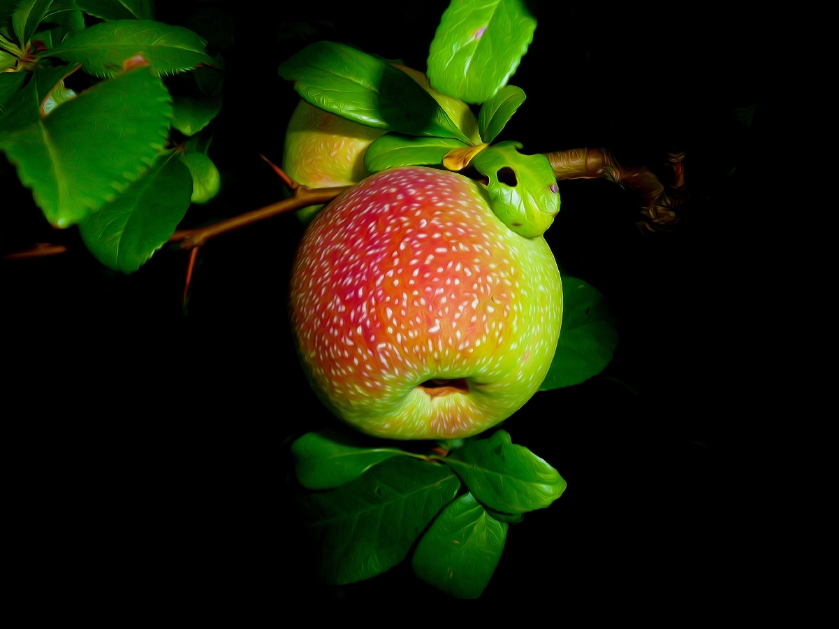 APFEL