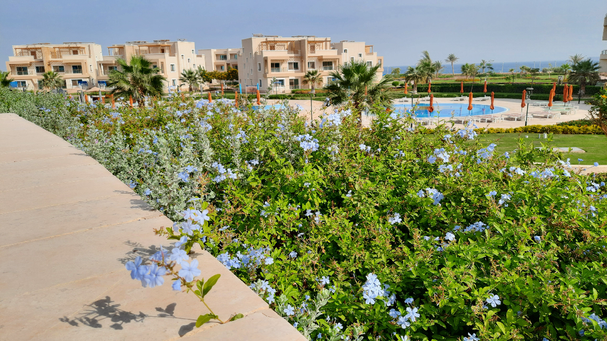 Egypt - Alain alsokhna